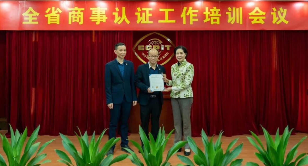 Convey the innovative strength of Chinese brands to the world! - Pito